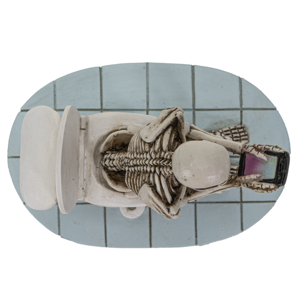 ^ SKELETON ON TOILET, C/24 – Summit Collection Gifts