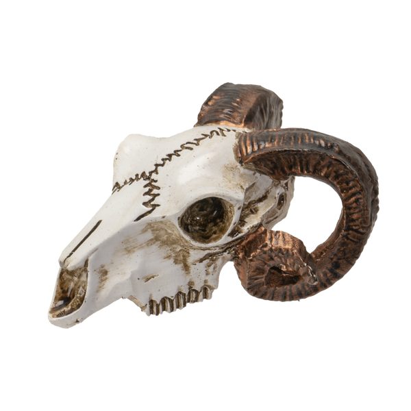RAMS SKULL MINI C/144 – Summit Collection Gifts