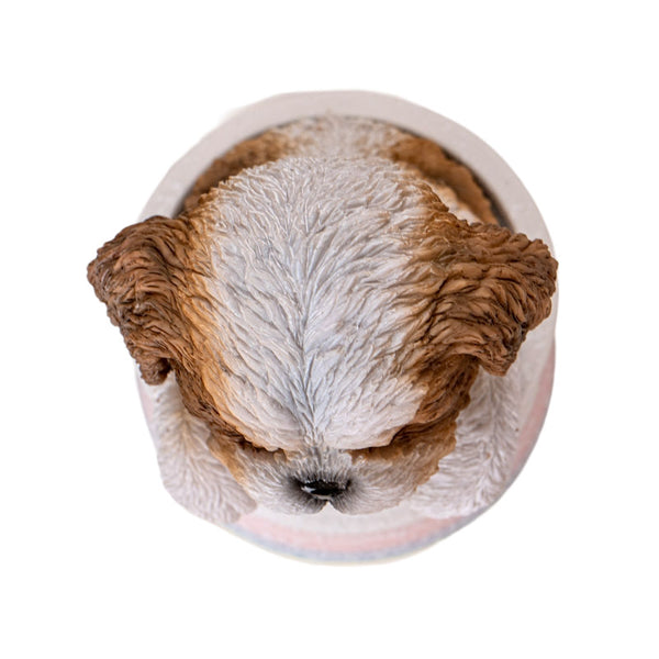 SHIH TZU IN POT C/12 – Summit Collection Gifts