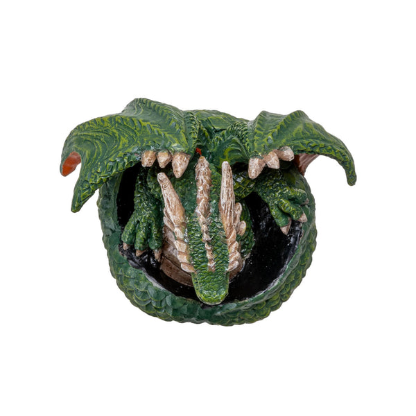 GREEN DRAGON HATCHLING C/48 – Summit Collection Gifts