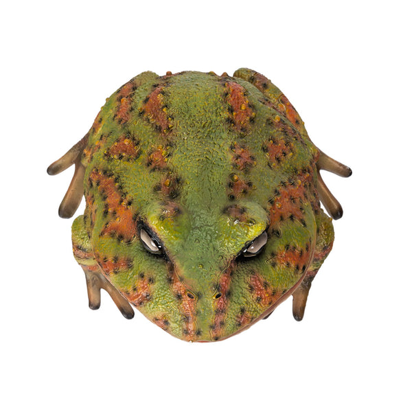 BULL FROG C/8 – Summit Collection Gifts