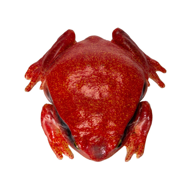 RED FROG C/48 – Summit Collection Gifts