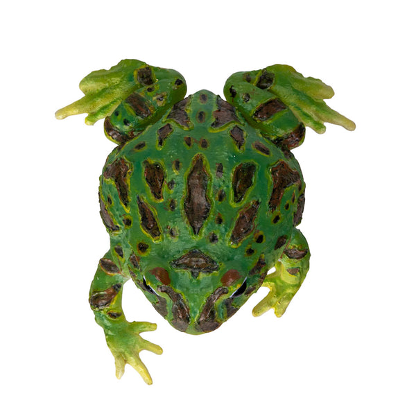 GREEN FROG C/48 – Summit Collection Gifts