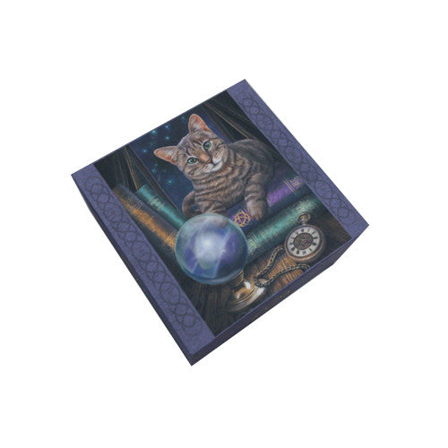 FORTUNE TELLER BOX C/36 – Summit Collection Gifts