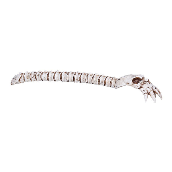 ^SKELETON BACK SCRATCHER C/16 – Summit Collection Gifts