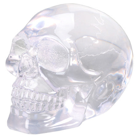 SMALL TRANSLUCENT SKULL, C/36 – Summit Collection Gifts