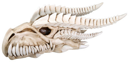 DRAGON SKULL, C/6 – Summit Collection Gifts