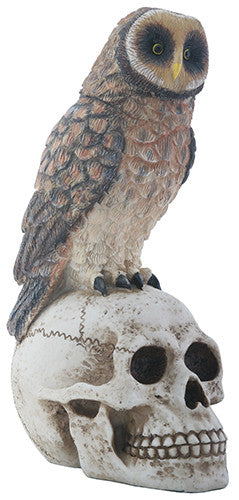 OWL ON SKULL, C/12 – Summit Collection Gifts