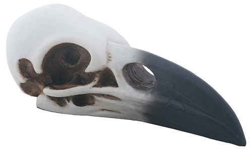 RAVEN SKULL, C/18 – Summit Collection Gifts