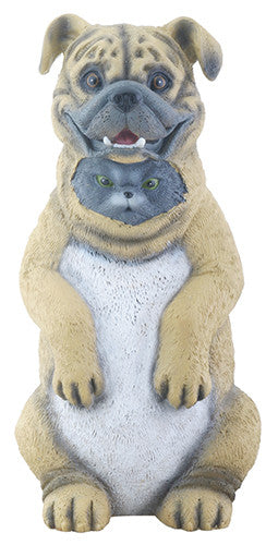 DUPERS - CAT, C/18 – Summit Collection Gifts