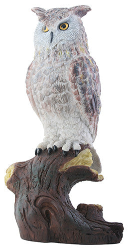 OWL, C/12 – Summit Collection Gifts